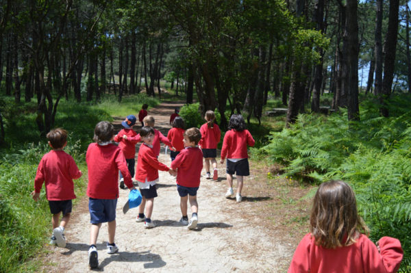 La seguridad en las excursiones y salidas escolares - Excursiones Escolares